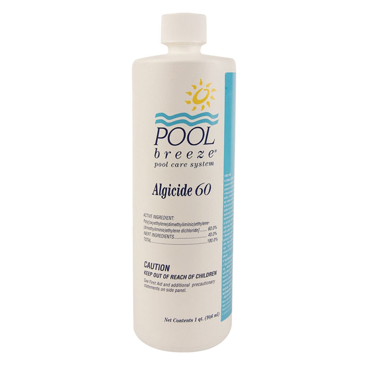 Algaecide 60 - 1 Quart | Pool Algae Control | Splash Super Center